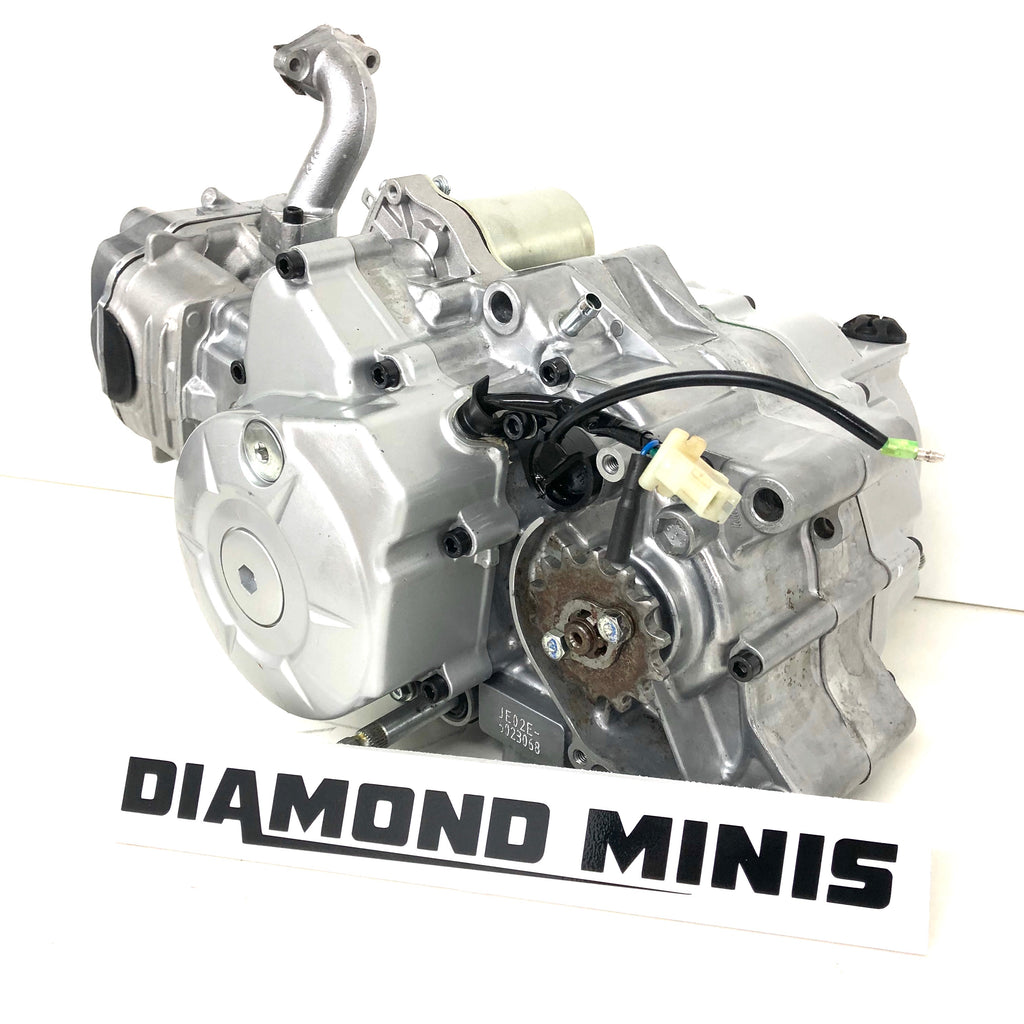 CRF110 Black Stainless Engine Bolt Kit – Diamond Minis